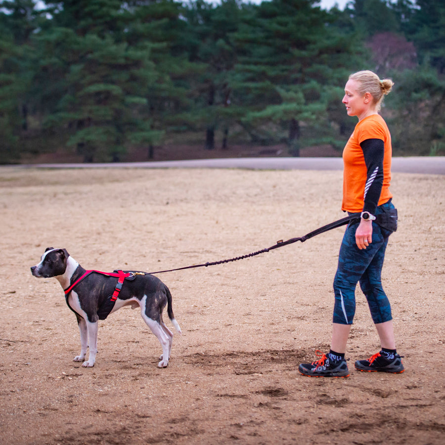 DogFit® - Quality Canicross Kit & Classes – DogFit - Canicross kit ...