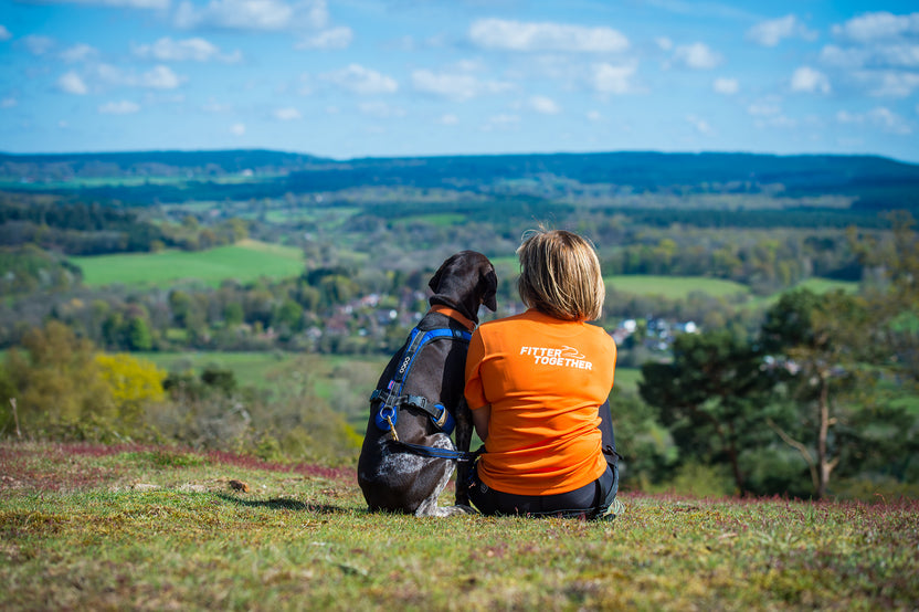 DogFit® - Quality Canicross Kit & Classes – DogFit - Canicross kit ...