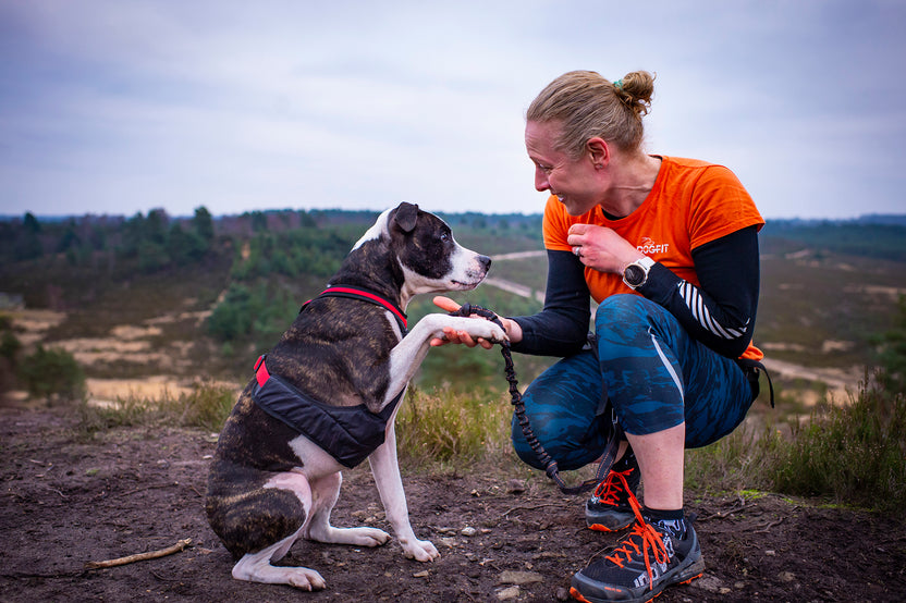 DogFit® - Quality Canicross Kit & Classes – DogFit - Canicross kit ...