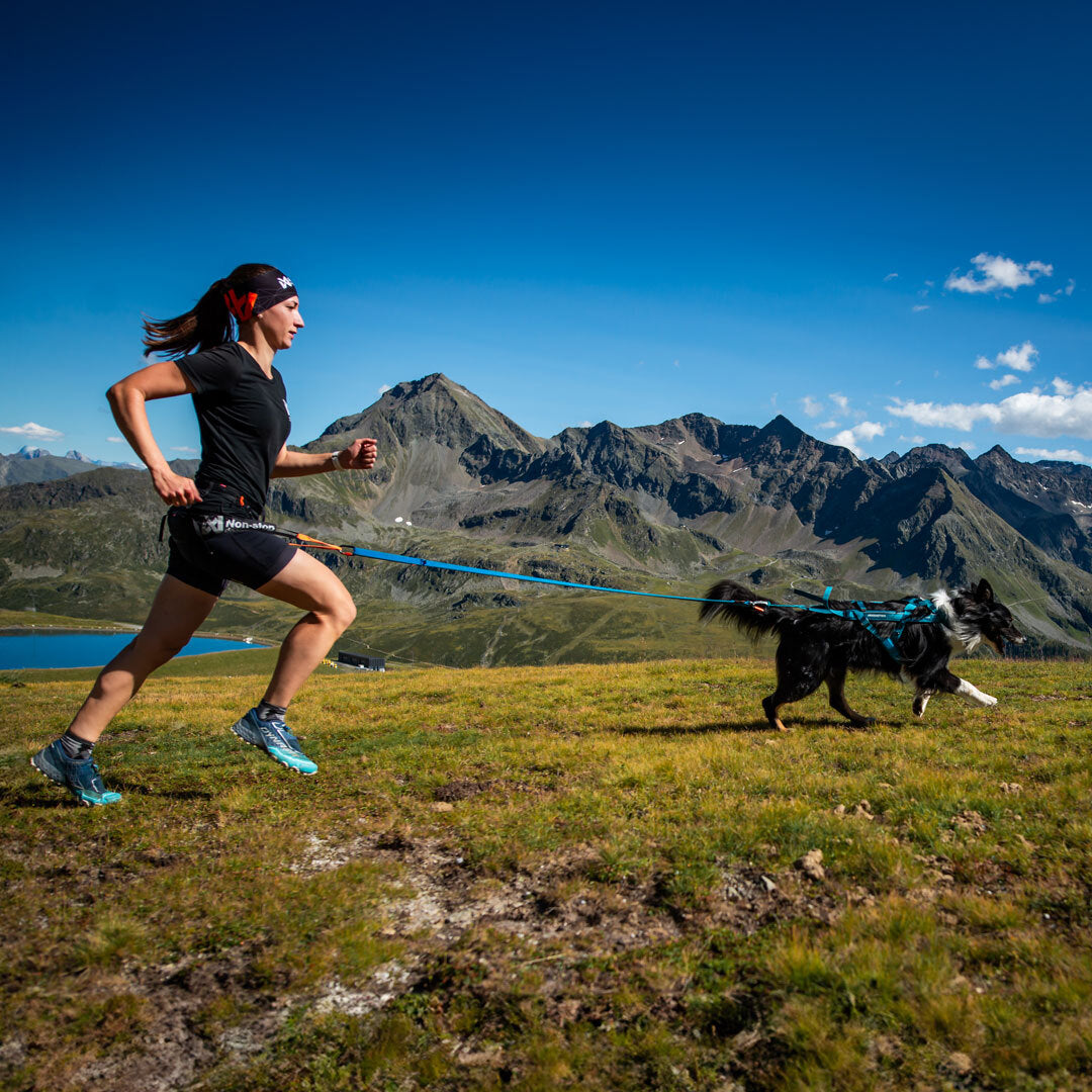 Freemotion Canicross Harness - Non-Stop – DogFit - Canicross kit ...
